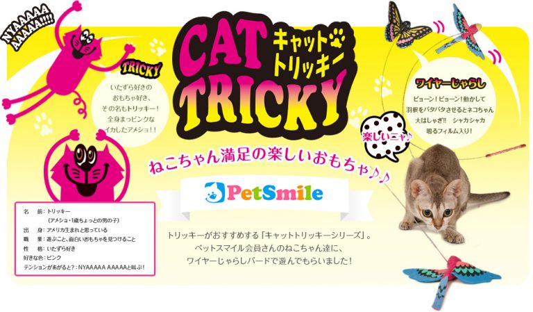 CAT TRICKY 動画特集ページをアップしました。 | Petio[ペティオ]