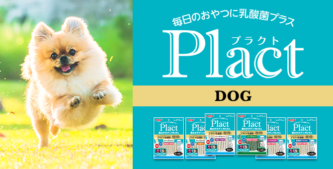 Plact｜プラクト DOG | Petio[ペティオ]