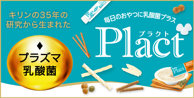 Plact｜プラクト | Petio[ペティオ]