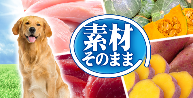 素材そのまま | Petio[ペティオ]