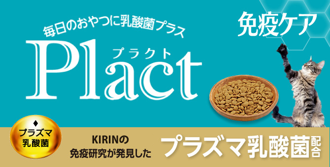 Plact｜プラクト CAT | Petio[ペティオ]